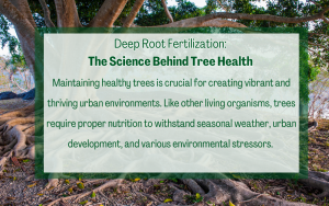 Tree Services in Houston & Cypress, TX | Jones Road Tree Service